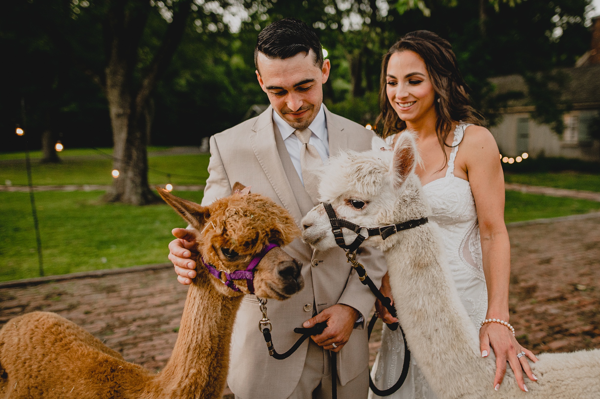 Photographer's Guide to Waterloo Village Weddings